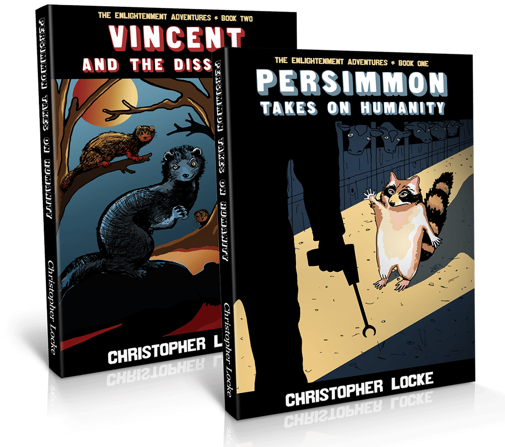 Christopher Locke, Author